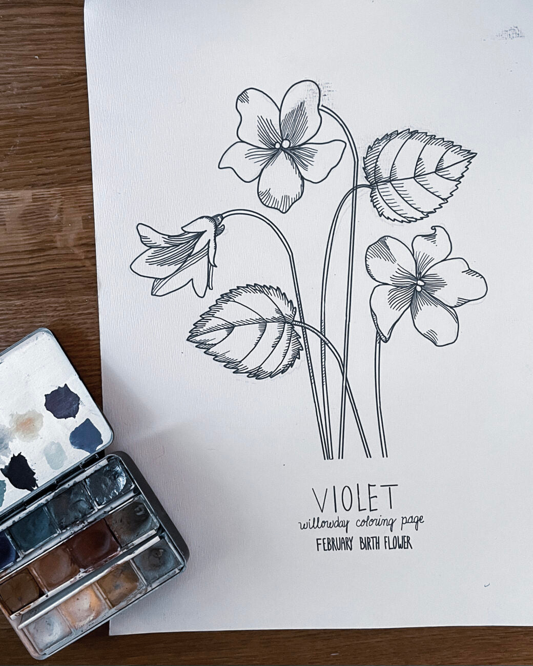 BIRTH FLOWER COLORING PAGES FEBRUARY – Willowday